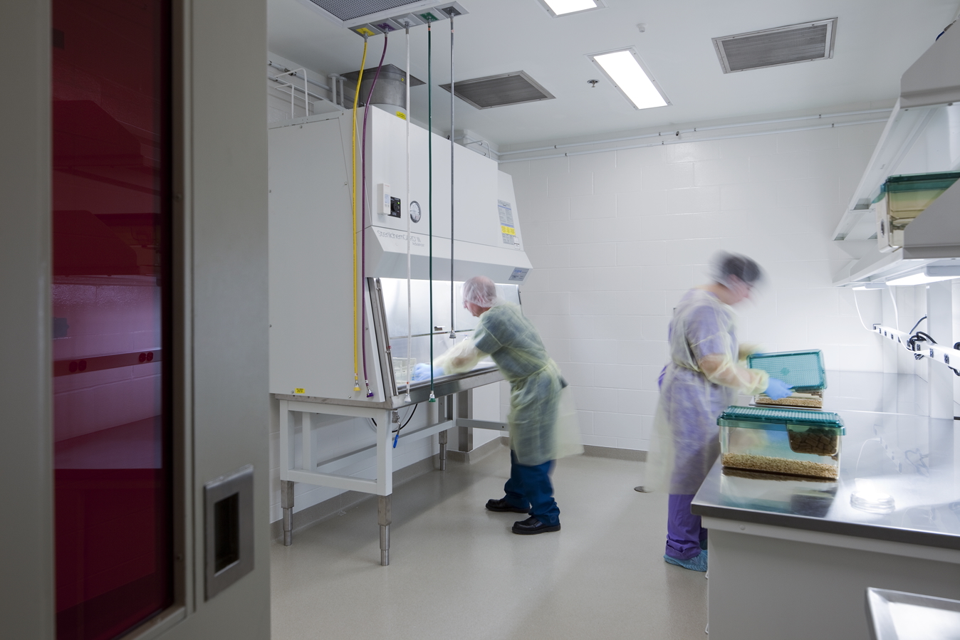 Bridging Science and Construction: Insights from Messer’s Specialized ...